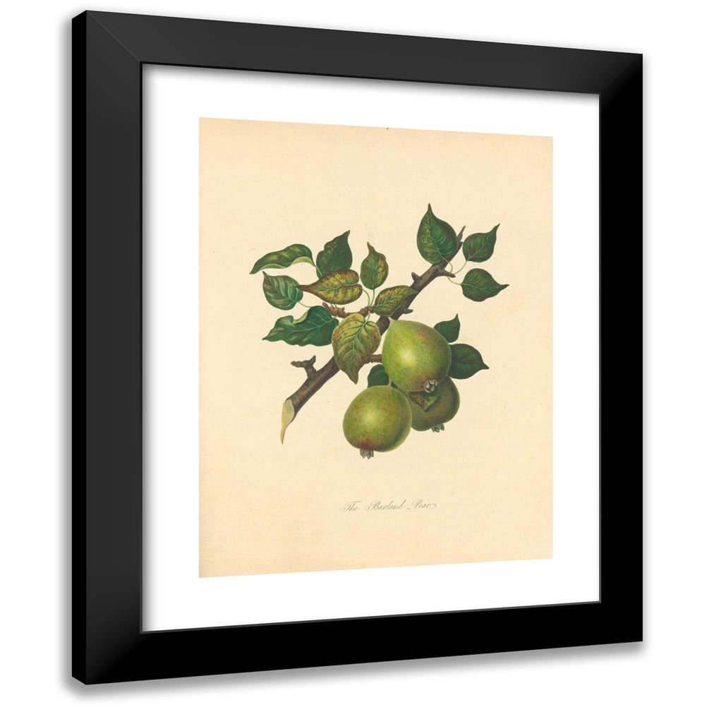 Thomas Andrew Knight 12x14 Black Modern Framed Museum Art Print Titled ...