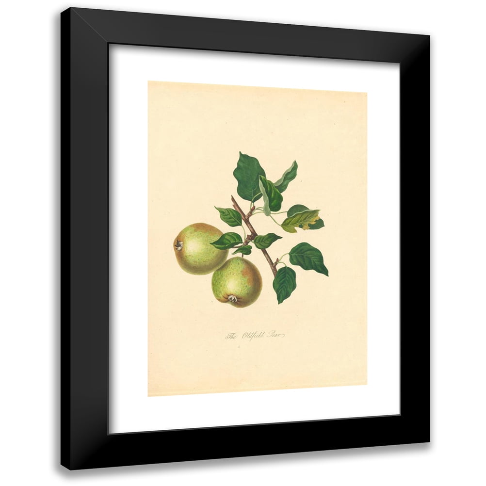 Thomas Andrew Knight 13x18 Black Modern Framed Museum Art Print Titled ...