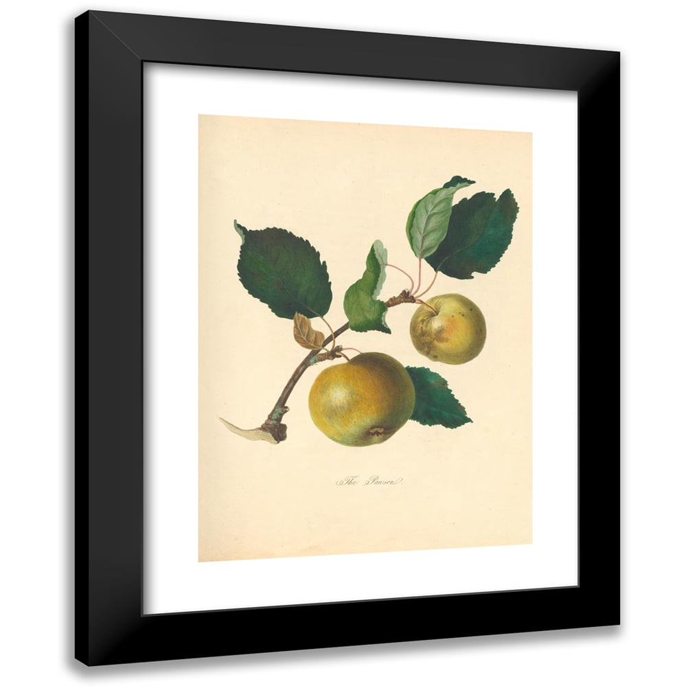 Thomas Andrew Knight 14x18 Black Modern Framed Museum Art Print Titled ...