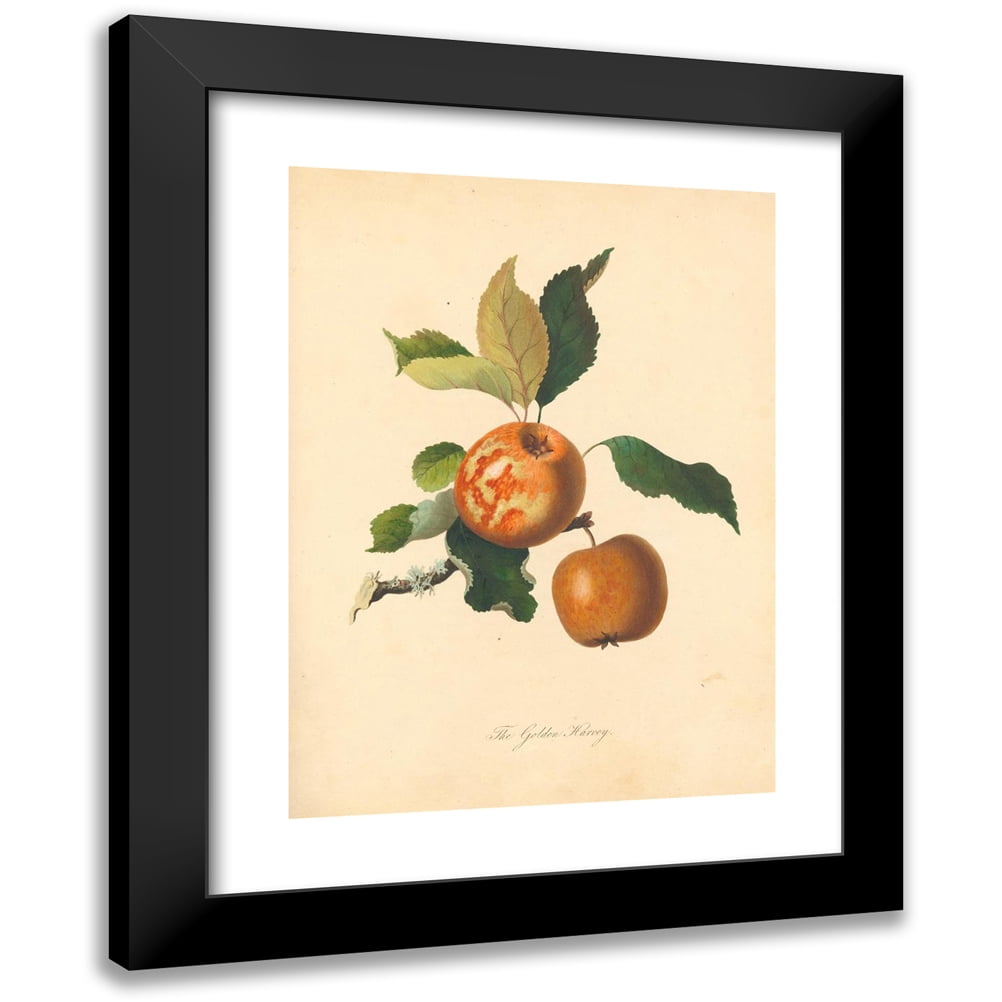 Thomas Andrew Knight 14x18 Black Modern Framed Museum Art Print Titled ...