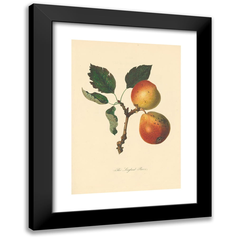 Thomas Andrew Knight 14x18 Black Modern Framed Museum Art Print Titled ...