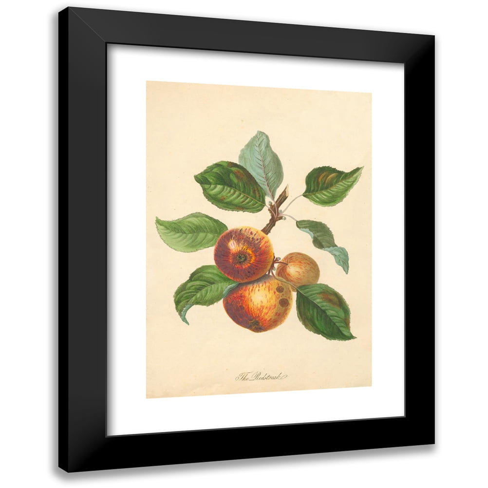 Thomas Andrew Knight 14x18 Black Modern Framed Museum Art Print Titled ...