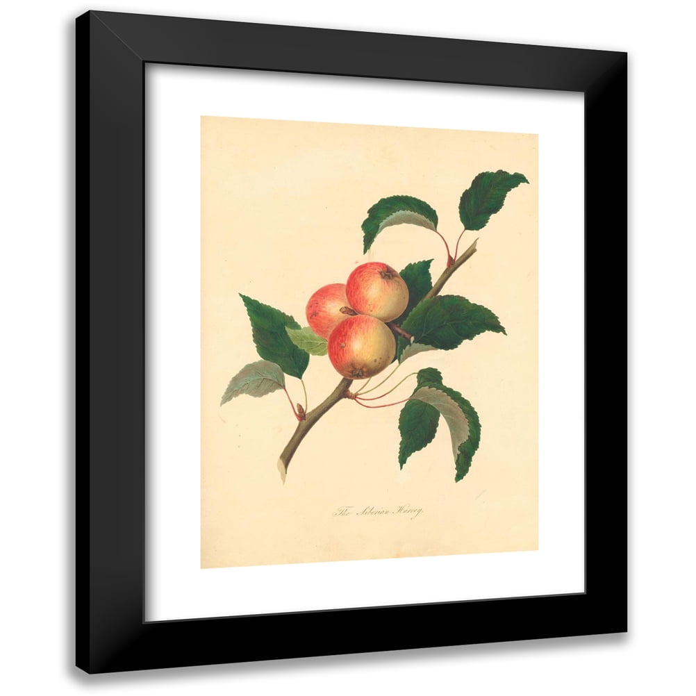 Thomas Andrew Knight 14x18 Black Modern Framed Museum Art Print Titled ...