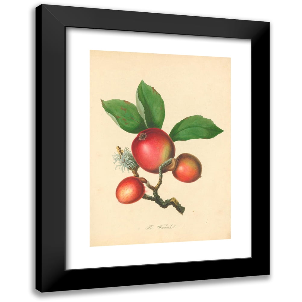 Thomas Andrew Knight 14x18 Black Modern Framed Museum Art Print Titled ...