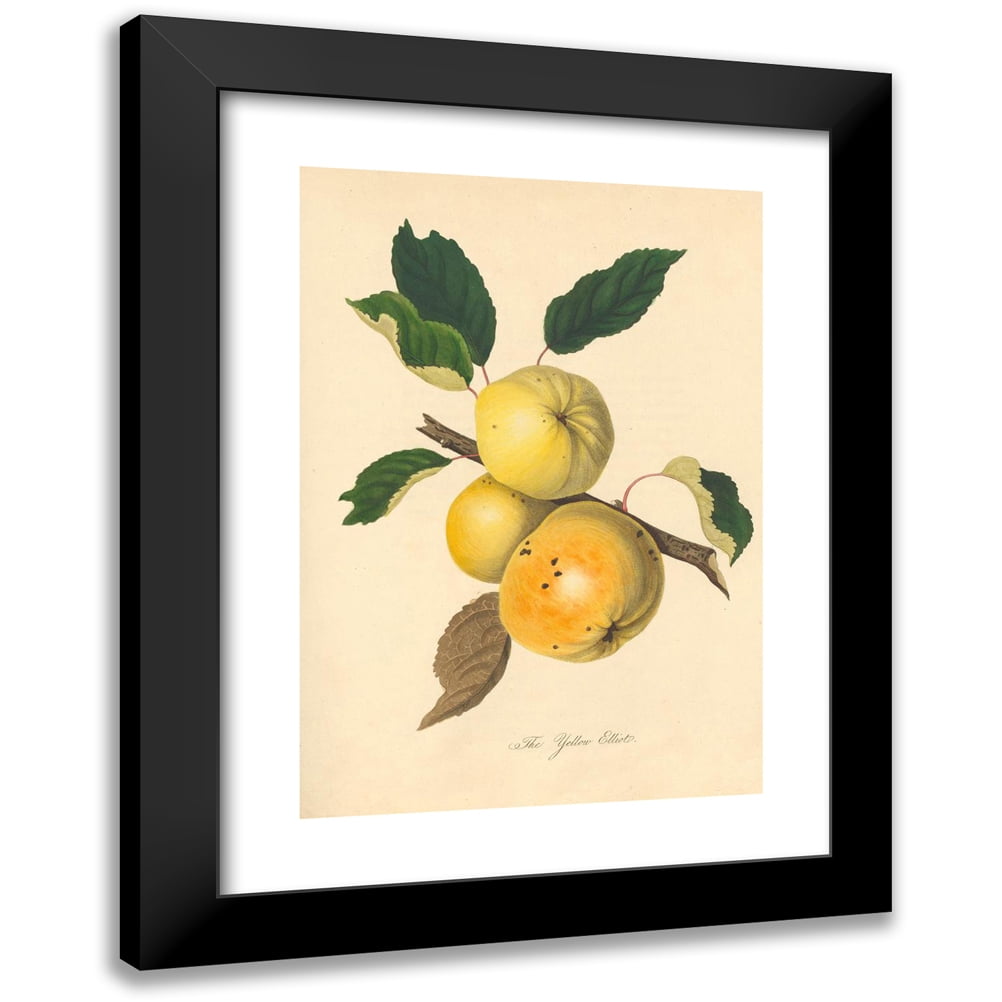 Thomas Andrew Knight 14x18 Black Modern Framed Museum Art Print Titled ...