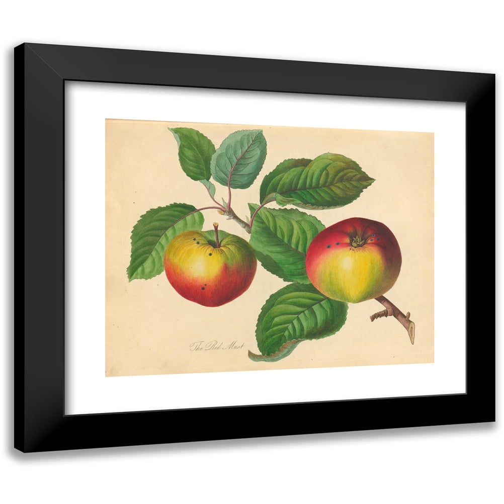 Thomas Andrew Knight 18x15 Black Modern Framed Museum Art Print Titled ...