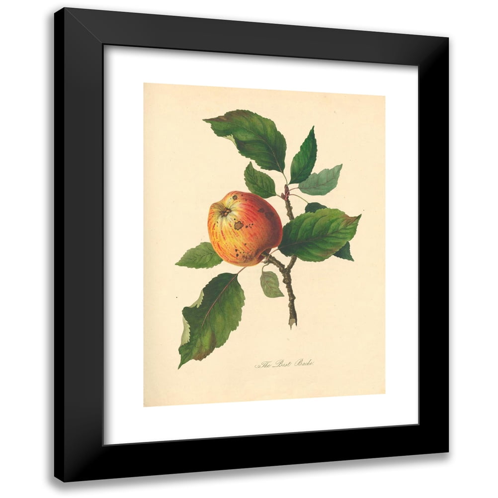 Thomas Andrew Knight 19x24 Black Modern Framed Museum Art Print Titled ...