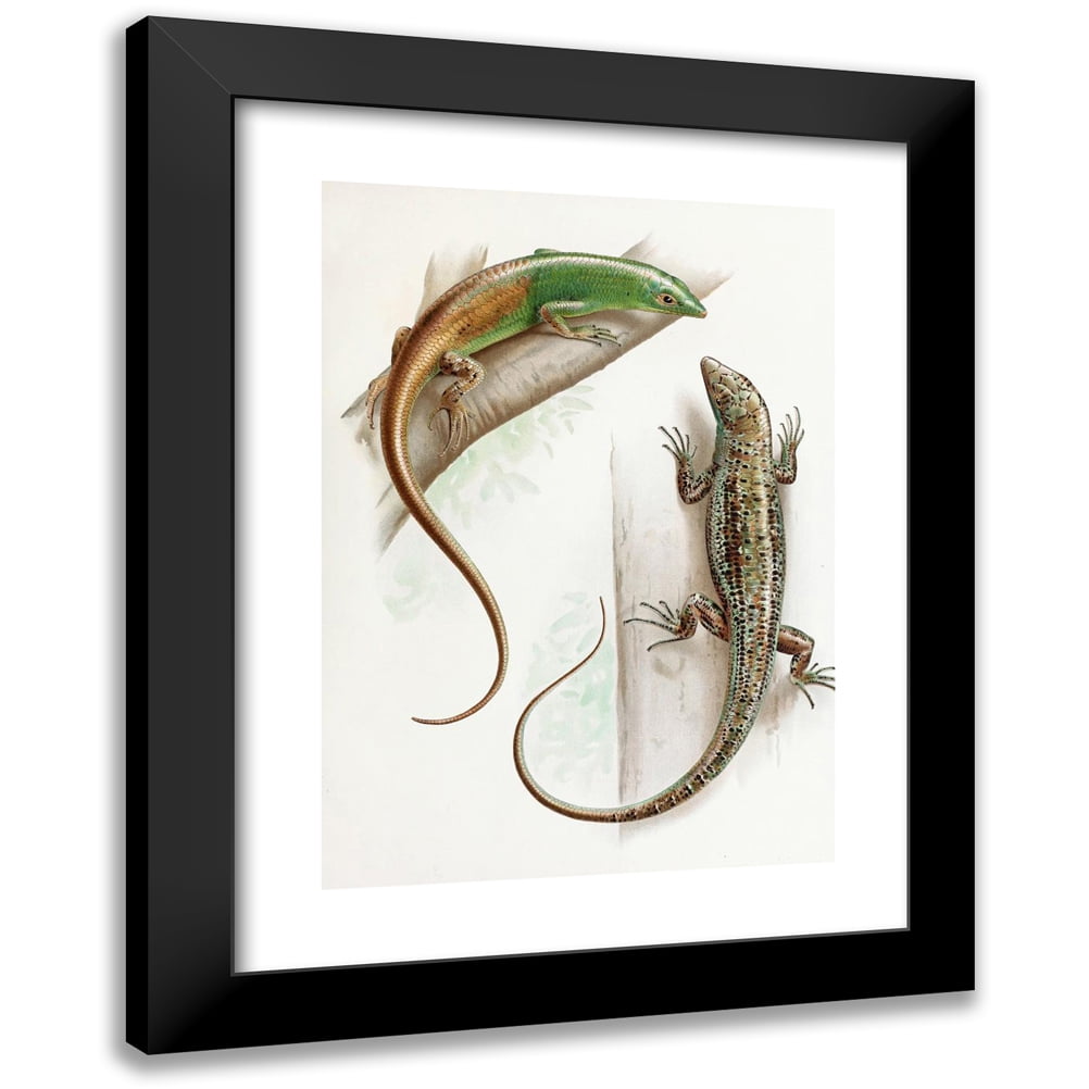 Thomas Barbour 11x14 Black Modern Framed Museum Art Print Titled ...