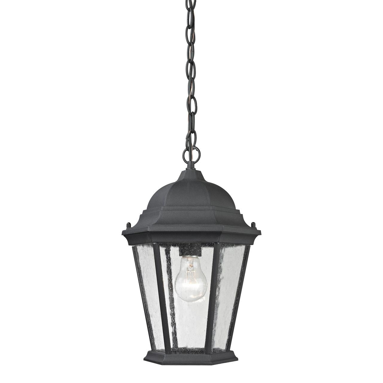 Thomas Lighting 8101EH/65 Temple Hill 1-Light Hanging Light in Matte ...