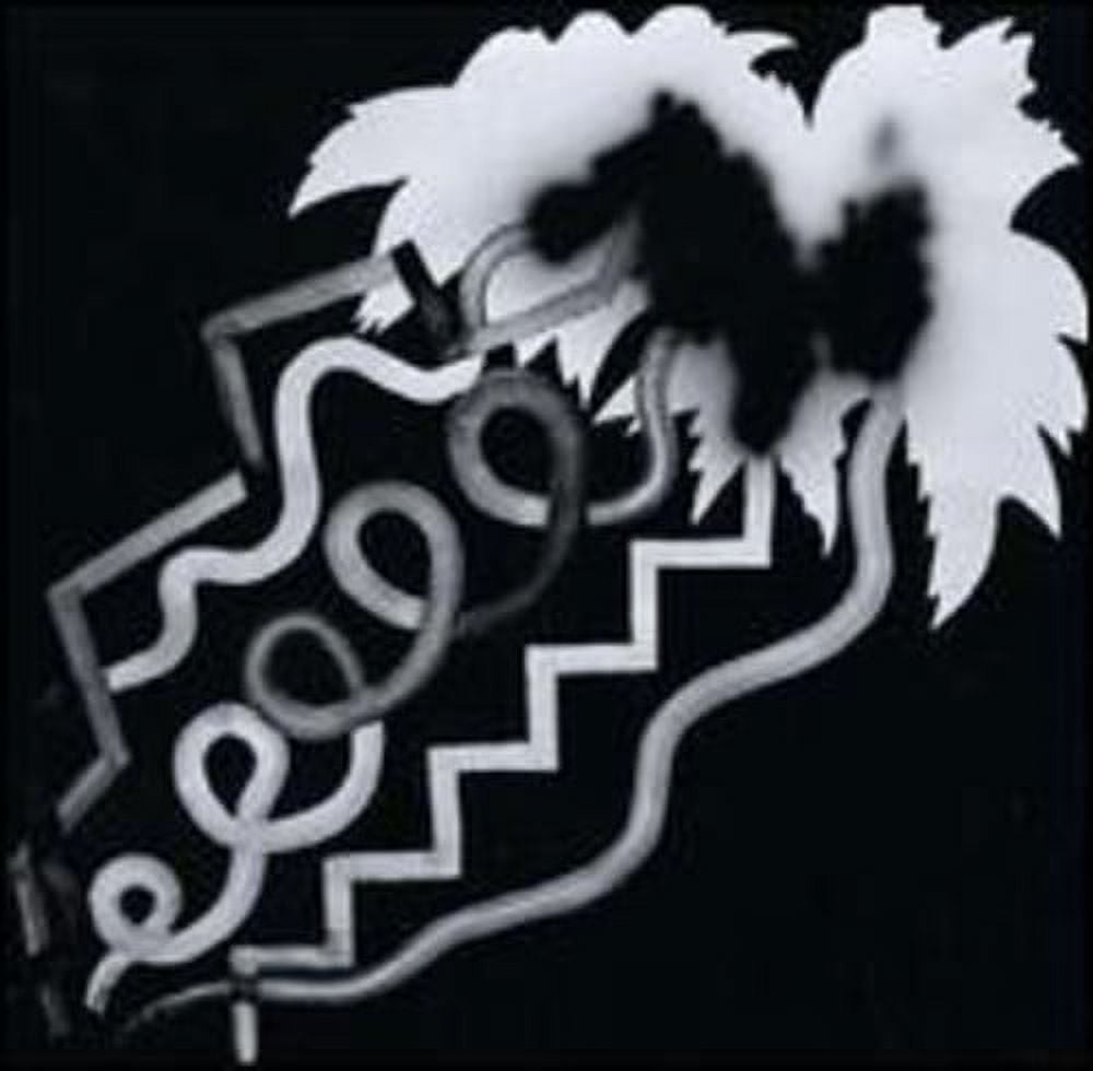 Thomas Melchior - Puerto Rican Girls - Electronica - Vinyl - Walmart.com