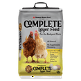 Thomas Moore Feeds Complete Feed for Laying Hens, 20lb - Walmart.com