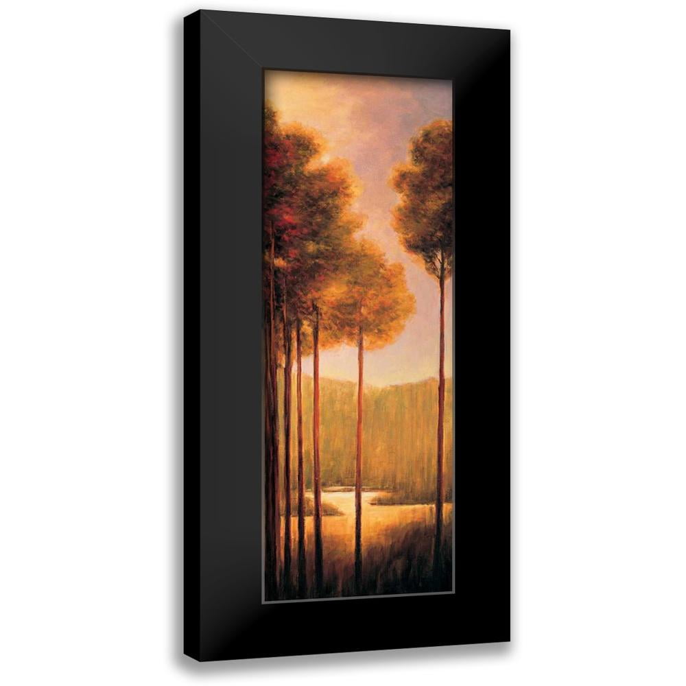 Thomas, Neil 11x24 Black Modern Framed Museum Art Print Titled ...