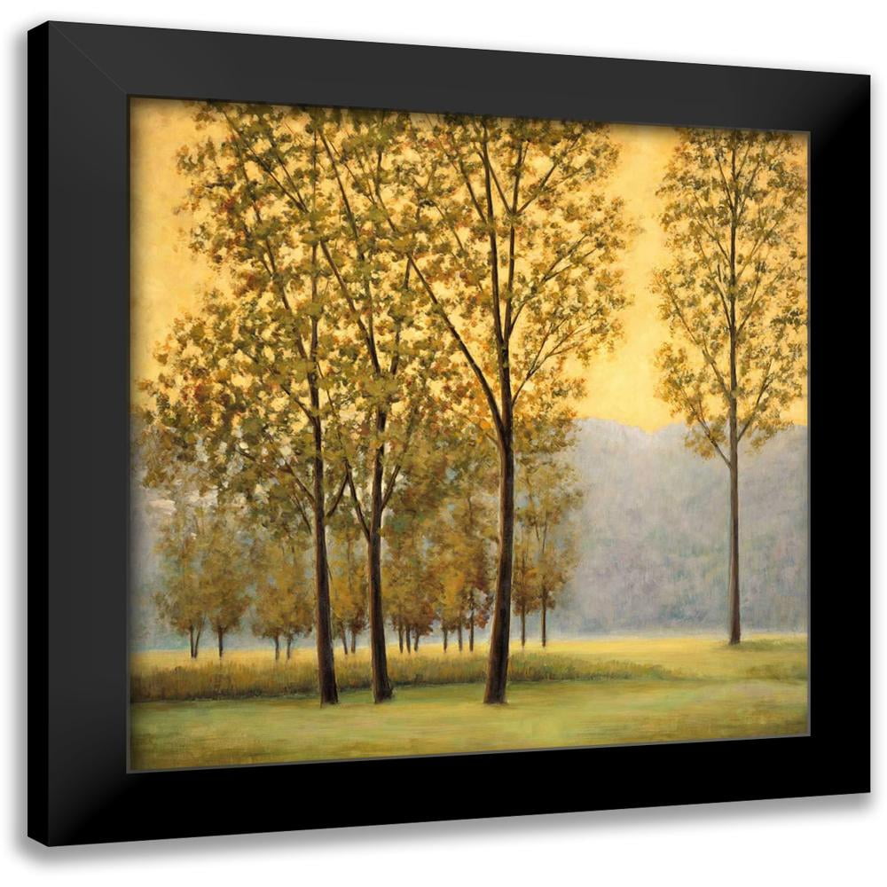 Thomas, Neil 15x15 Black Modern Framed Museum Art Print Titled - Misty ...