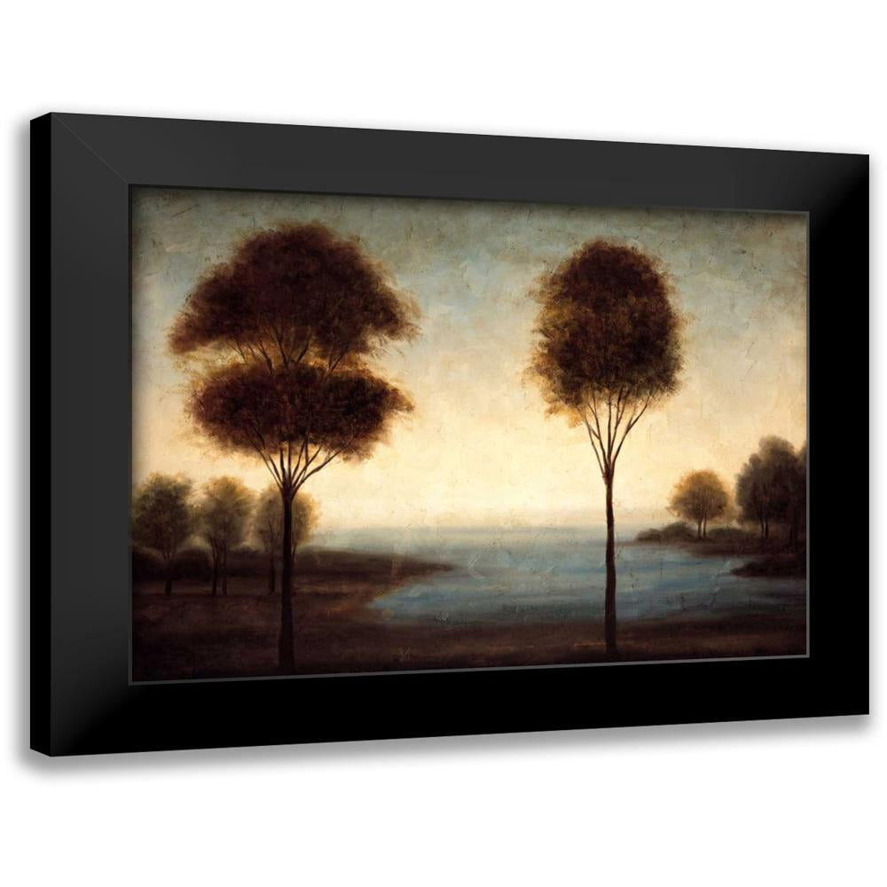 Thomas, Neil 18x14 Black Modern Framed Museum Art Print Titled - Water ...