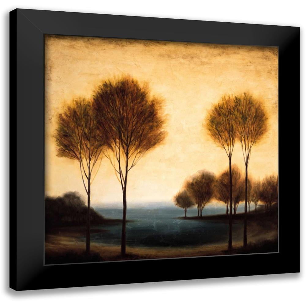 Thomas, Neil 20x20 Black Modern Framed Museum Art Print Titled - Above ...
