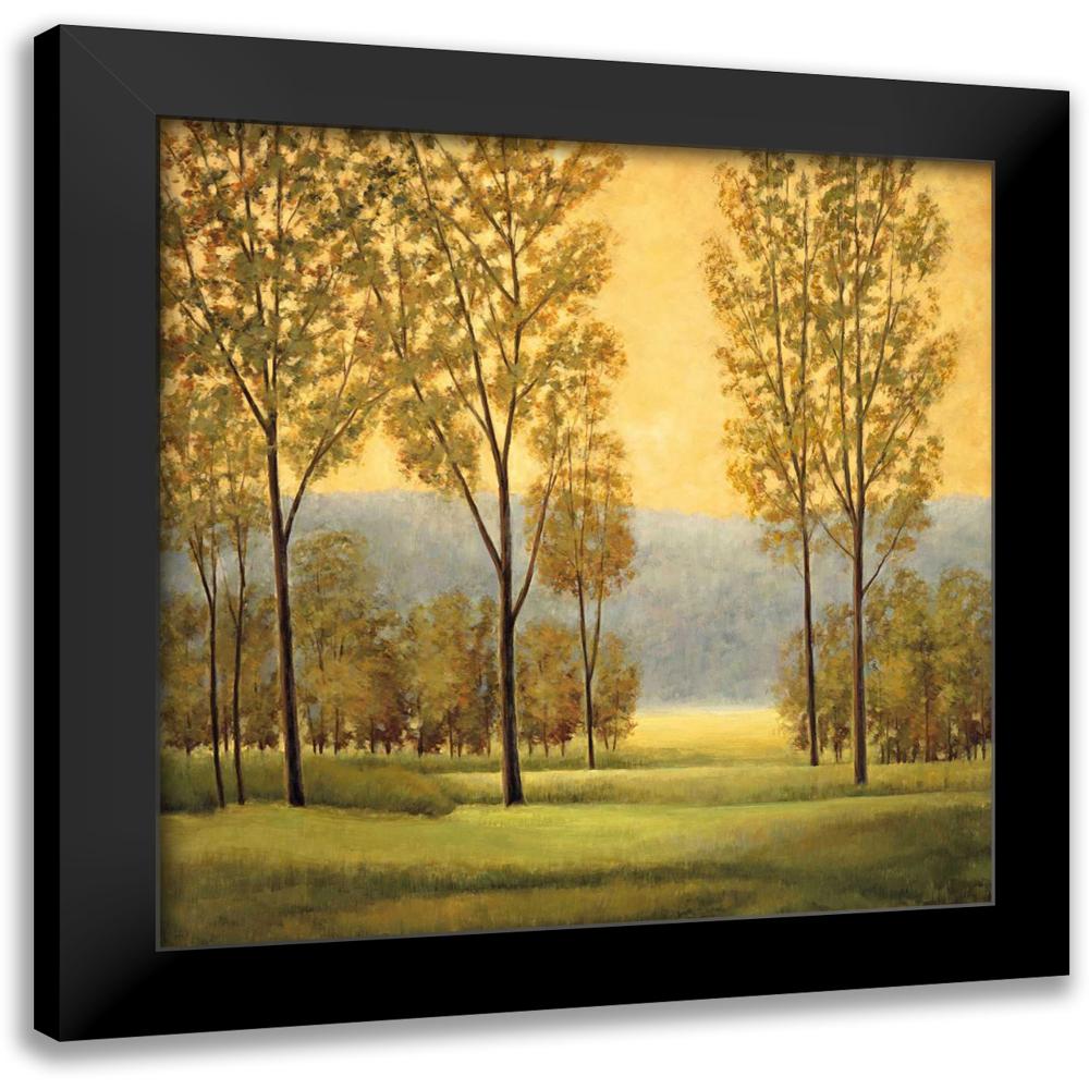Thomas, Neil 20x20 Black Modern Framed Museum Art Print Titled - Misty ...