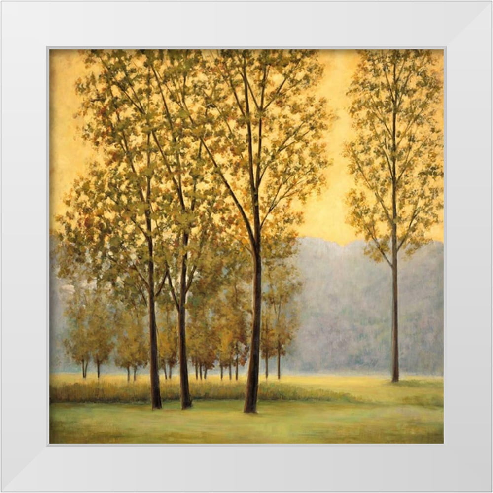 Thomas, Neil 20x20 White Modern Wood Framed Museum Art Print Titled ...