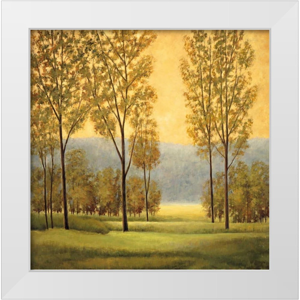 Thomas, Neil 26x26 White Modern Wood Framed Museum Art Print Titled ...