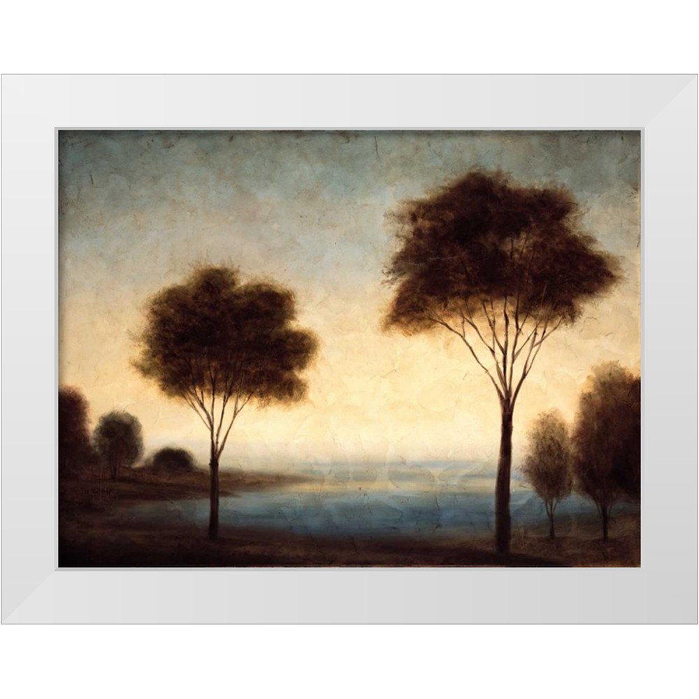 Thomas, Neil 32x25 White Modern Wood Framed Museum Art Print Titled ...