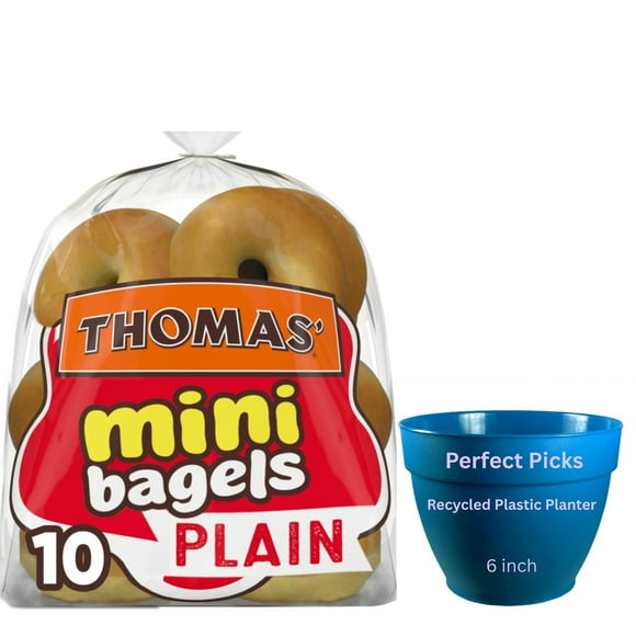 Mini Bagels in Bagels - Walmart.com