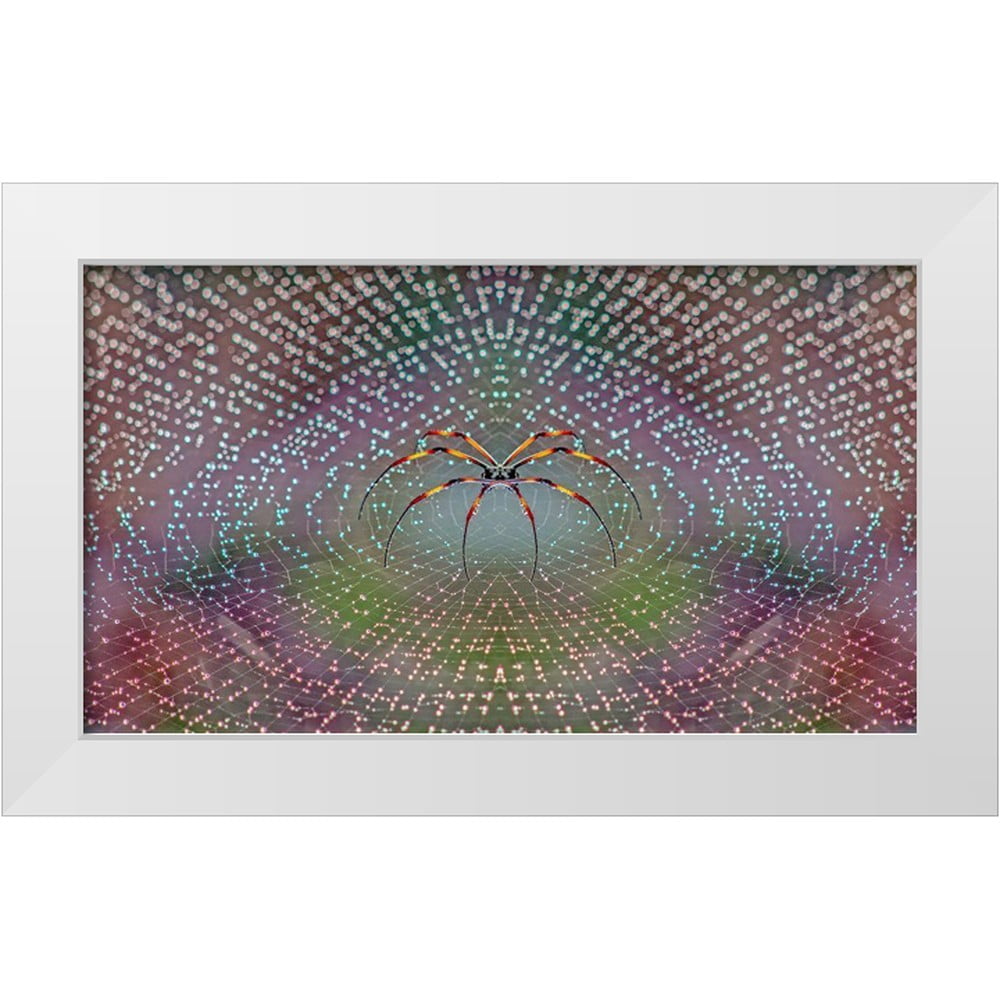 Thomopoulos, Thomas 14x10 White Modern Wood Framed Museum Art Print ...