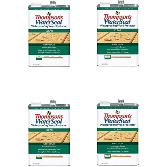 Thompson's Waterseal Waterproofer