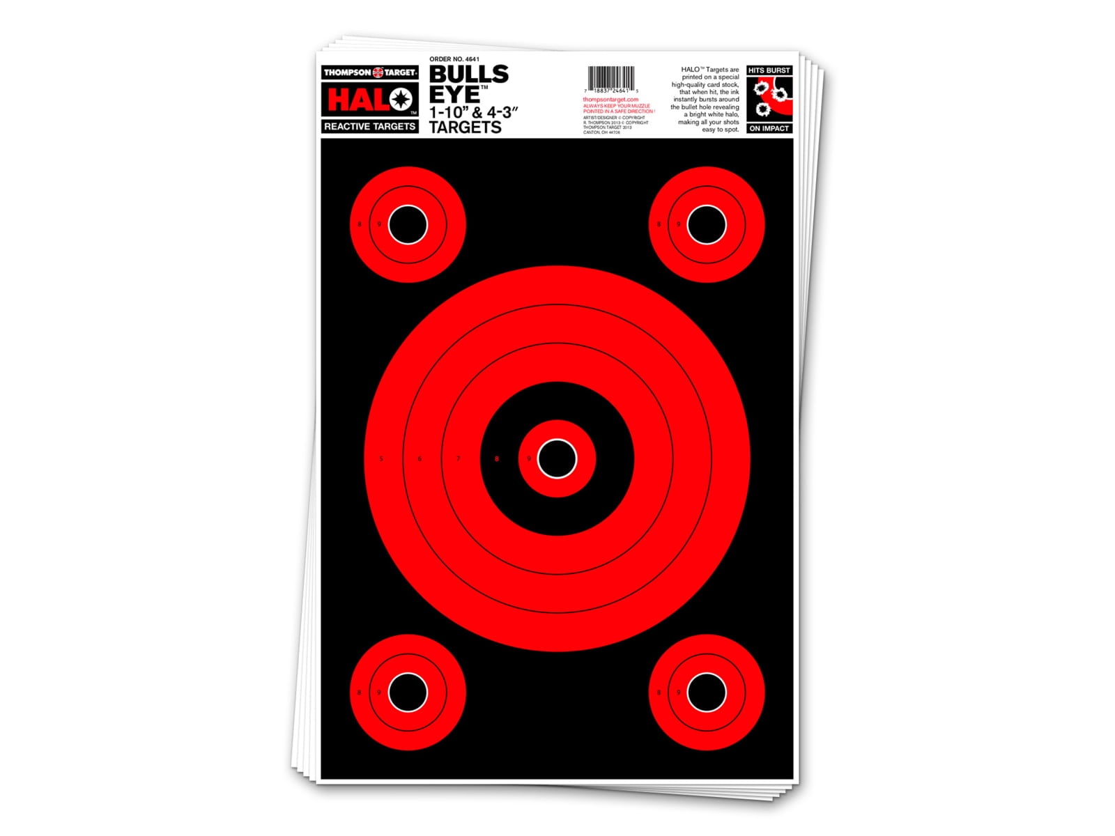 Thompson Target HALO Bullseye 10&3 Reactive Splatter Targets 12.5x19 ...