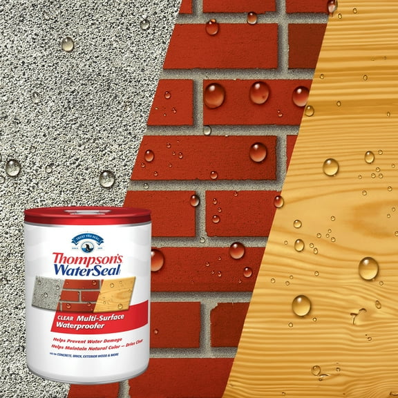 Thompson's WaterSeal Waterproofer Plus Wood Protector, Clear, 5 Gallon ...