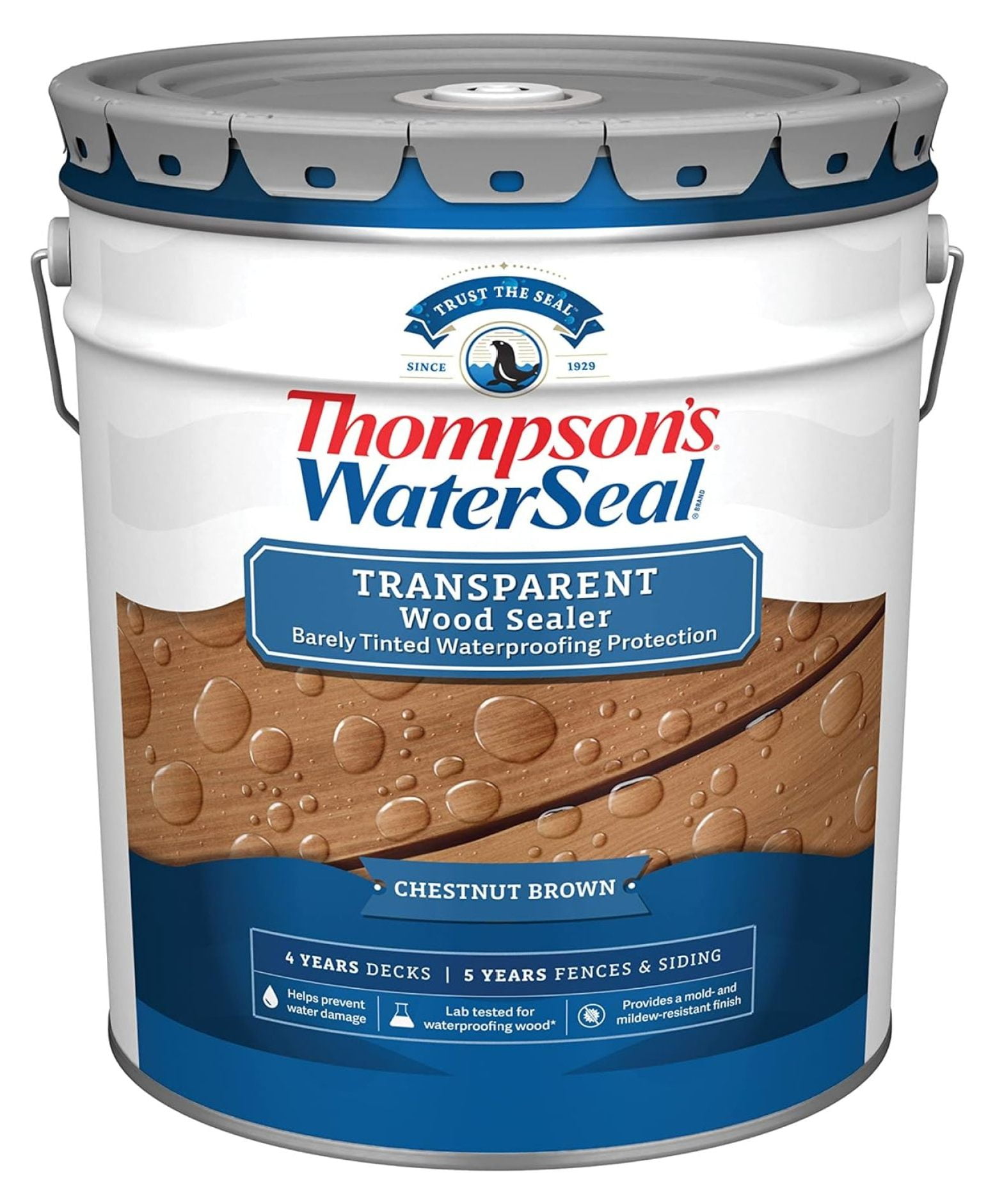 Thompson’s WaterSeal Transparent Waterproofing Wood Stain and Sealer ...