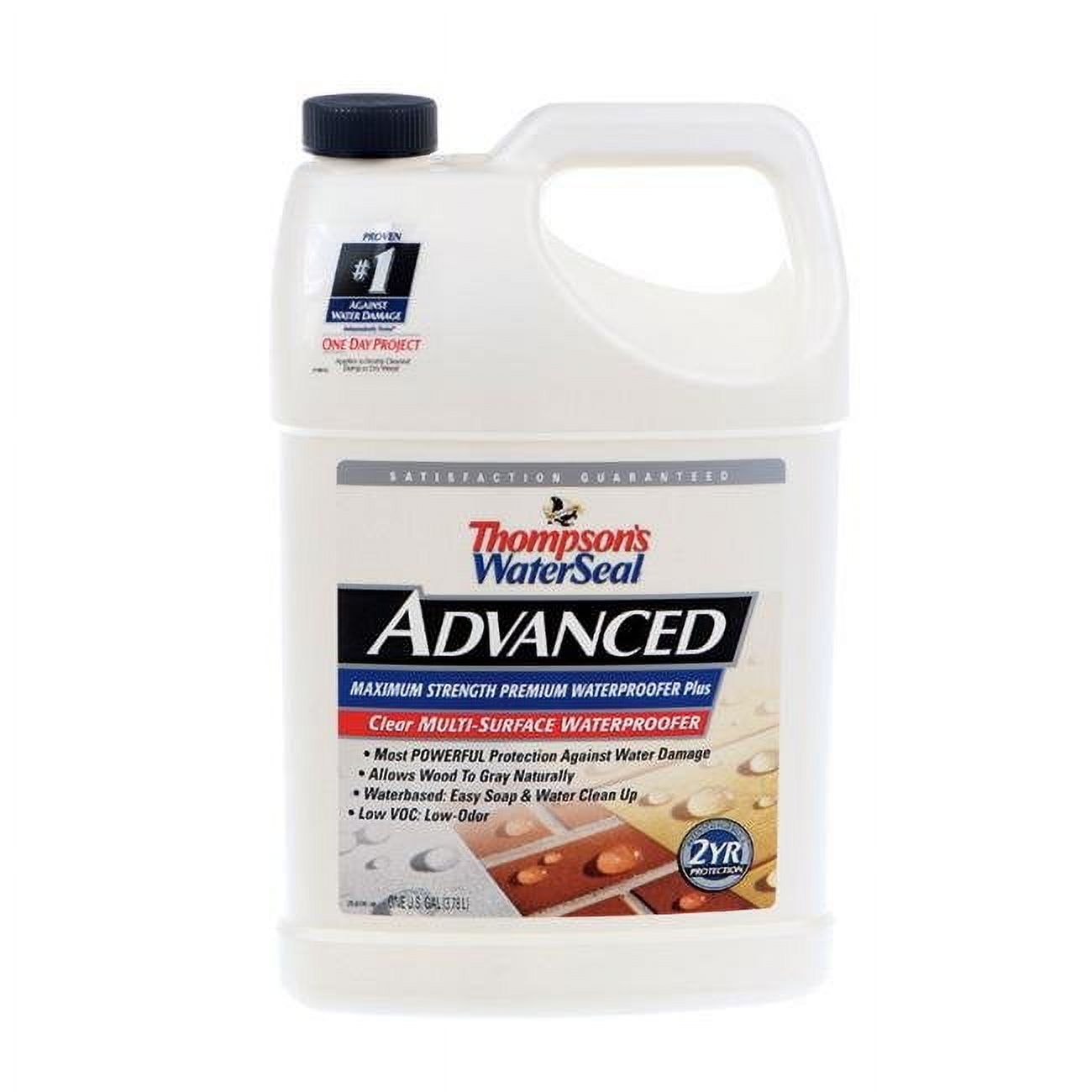 Thompsons 1209741 1 gal Advanced Clear Water-Based Multi-Surface ...