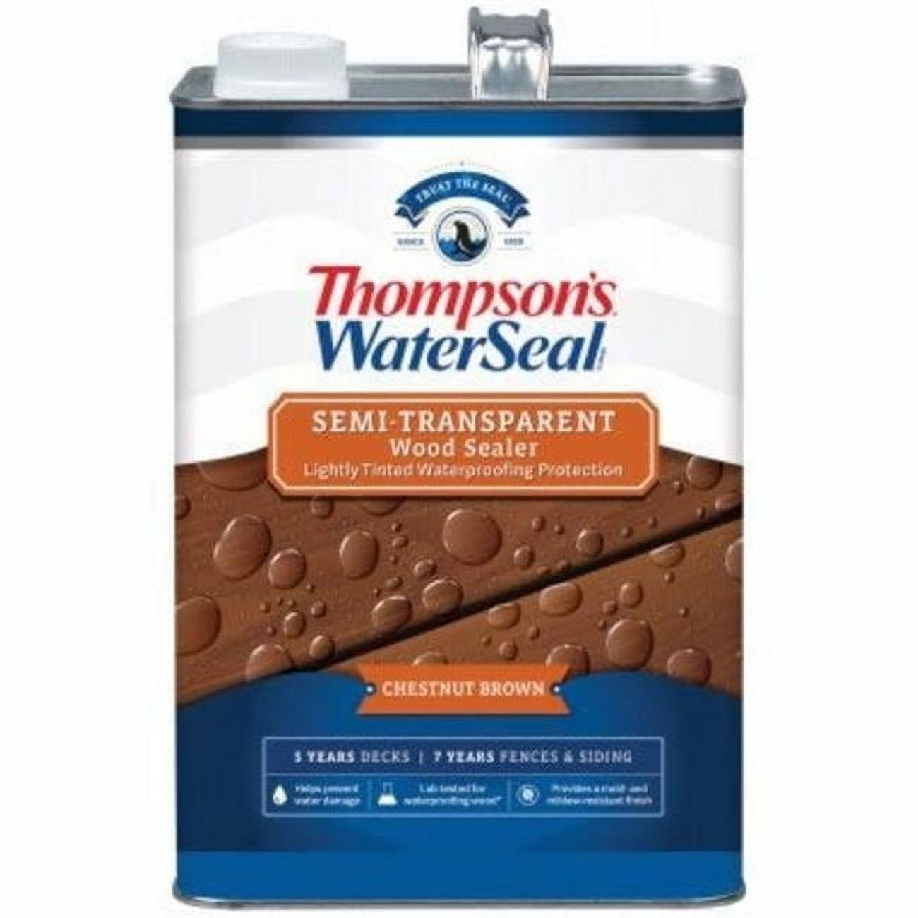 Thompsons Waterseal 1 gal Semi-Transparent Waterproofing Stain, Acorn ...