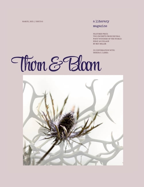 Thorn & Bloom: a literary magazine, (Paperback) - Walmart.com