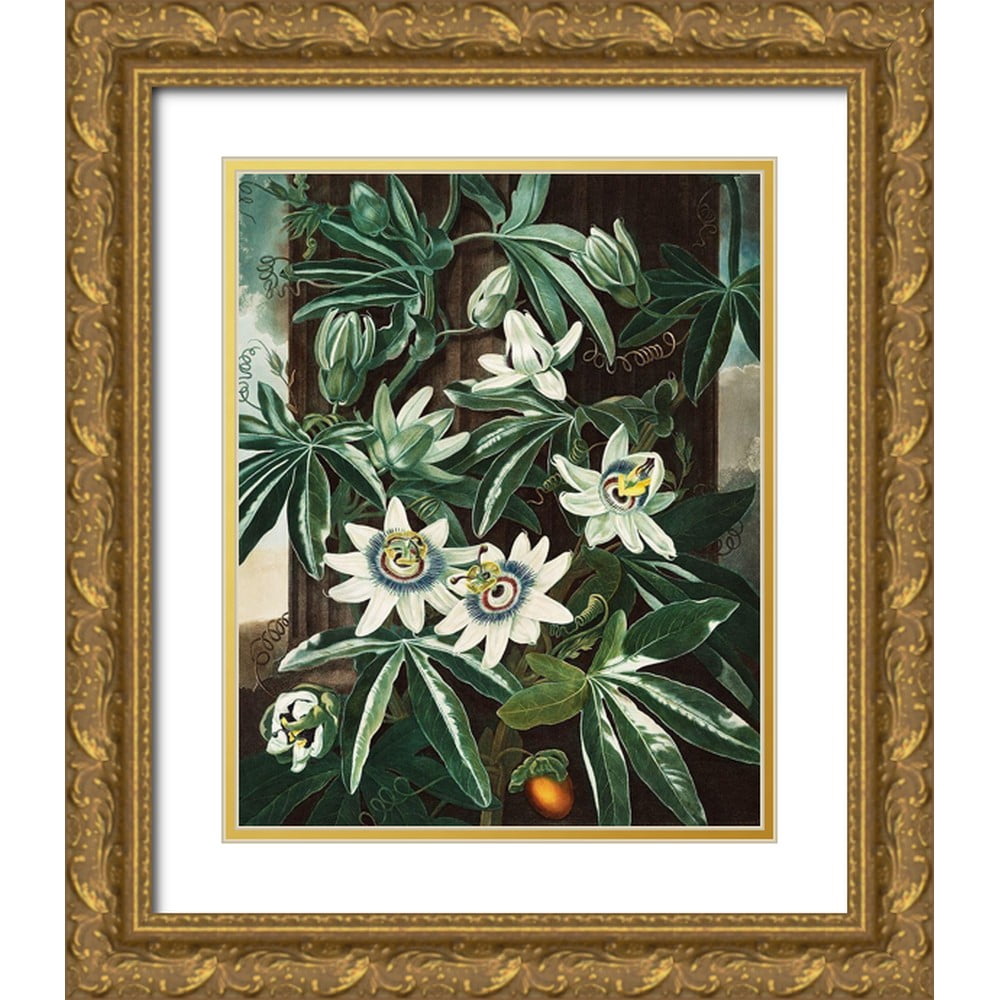 Thornton, Robert John 20x24 Gold Ornate Wood Framed with Double Matting ...