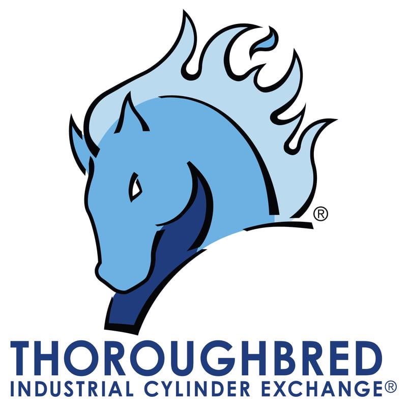 Thoroughbred GasPony PowerTorch 250 Torch Kit 11 pc Oxy-Acetylene ...