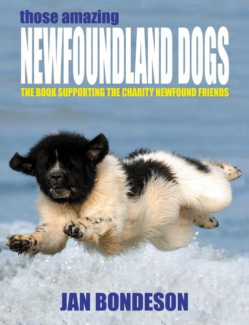 Those Amazing Newfoundland Dogs (Paperback) - Walmart.com