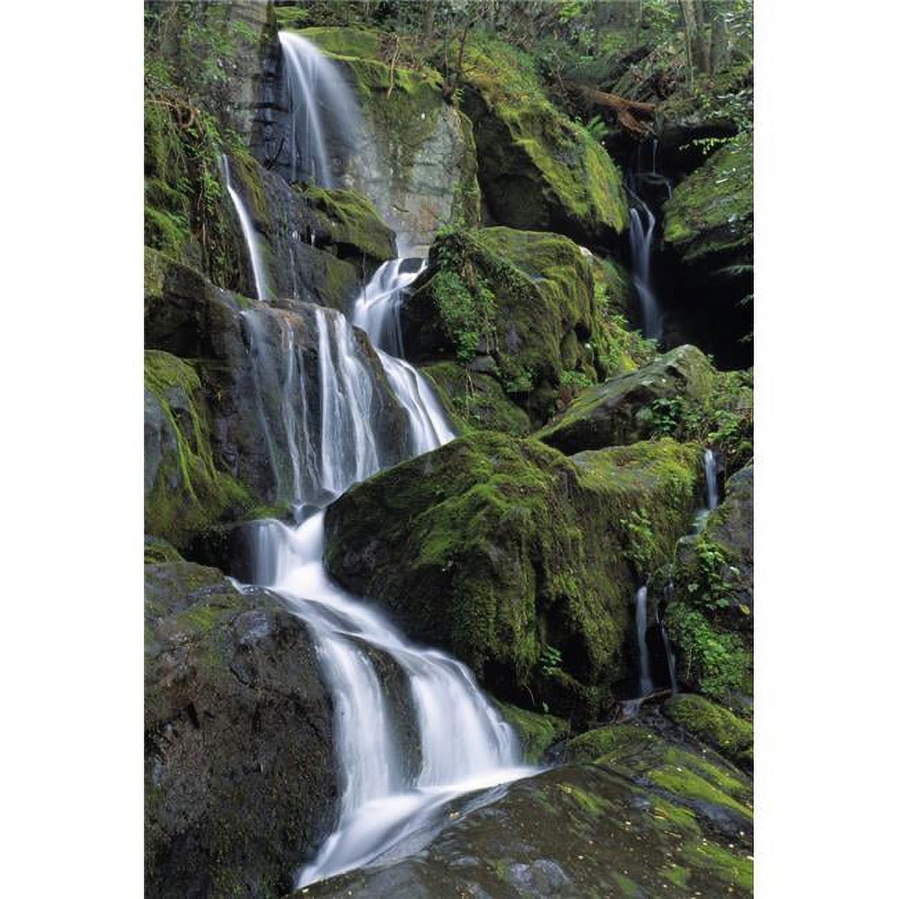 Thousand Drips Waterfall Roaring Fork Area Great Smoky Mountains ...