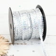Threadart 6MM Silver Sequin String, 80-Yard Roll, Crafting Trim for ...