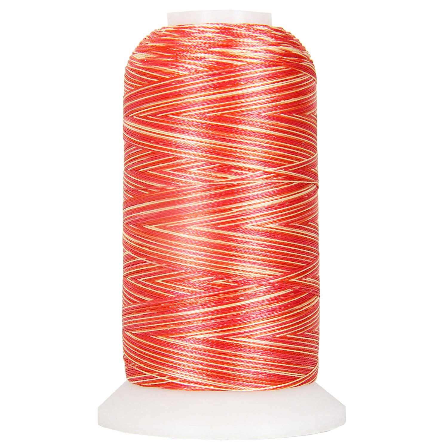 Threadart Variegated Polyester Embroidery Thread - 40wt - 1000m - 25 ...