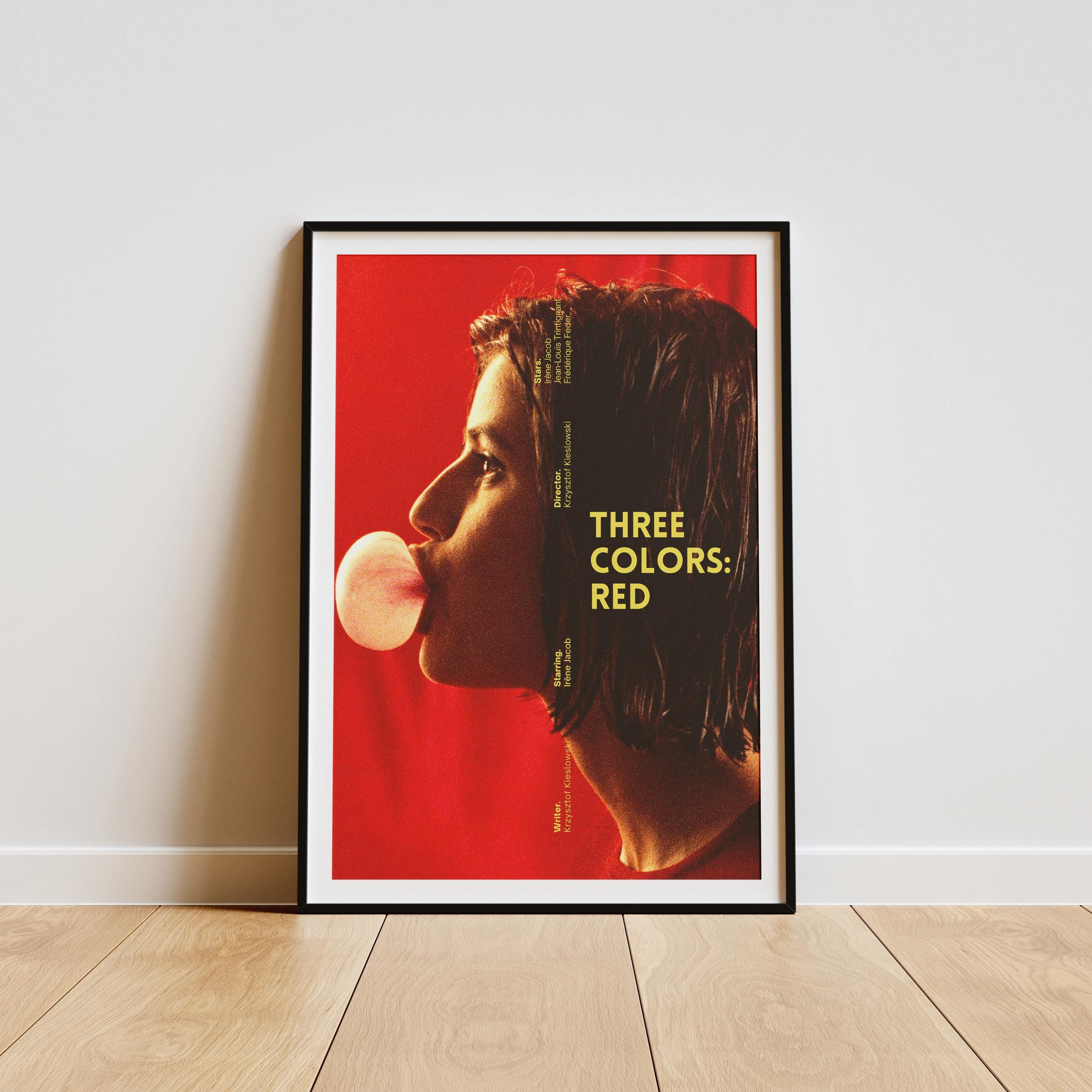 Three Colors: Red Movie - Kieślowski Film Art Decor - Walmart.com