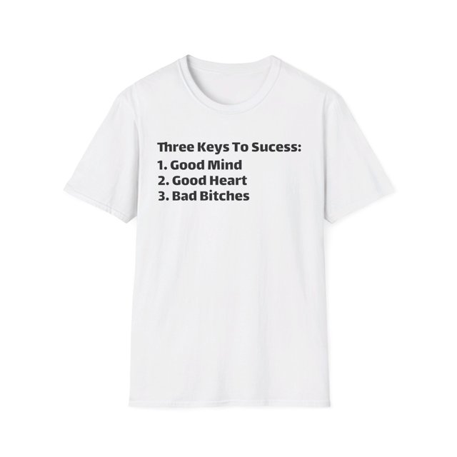 Three Keys To Success Pithy Wisdom Brainrot Reaction Meme Hard Image ...