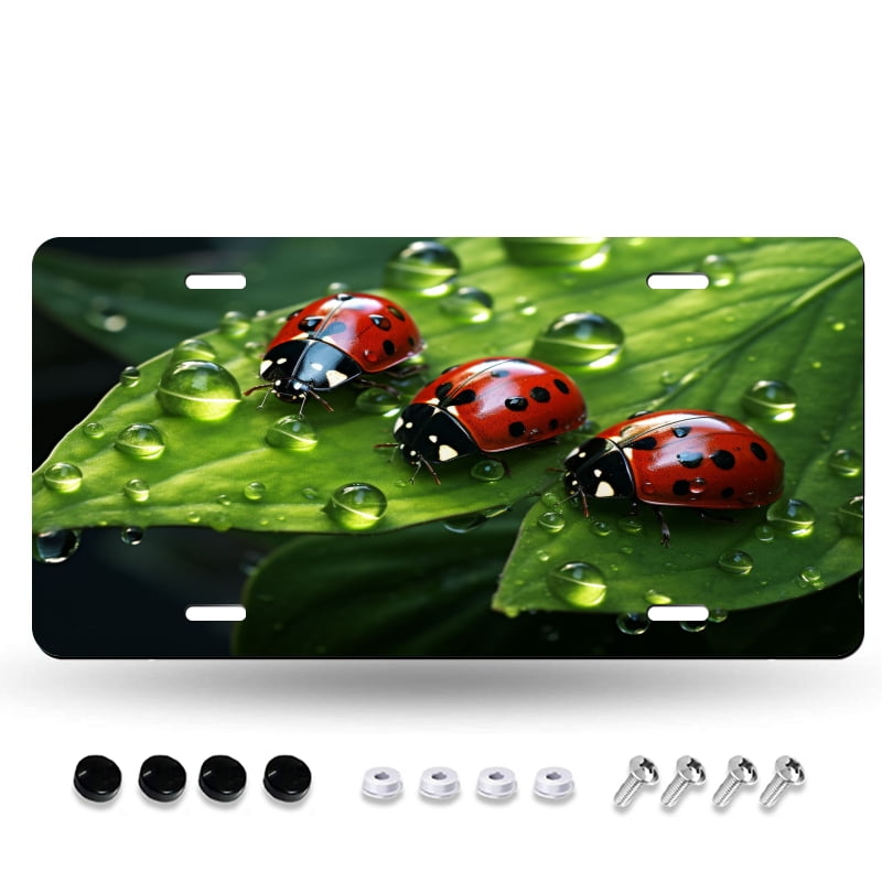 Three Ladybugs on a Dewy Green Leaf License Plate Frame, Decorative ...