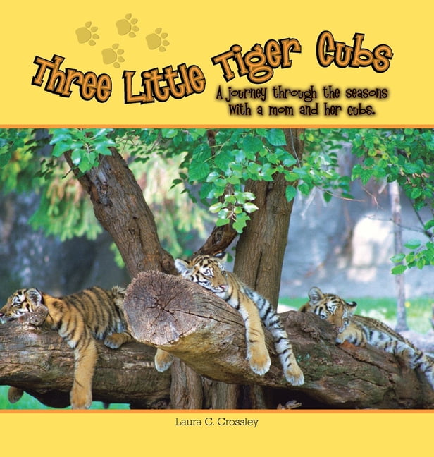 Three Little Tiger Cubs: A photographic journey through the seasons ...