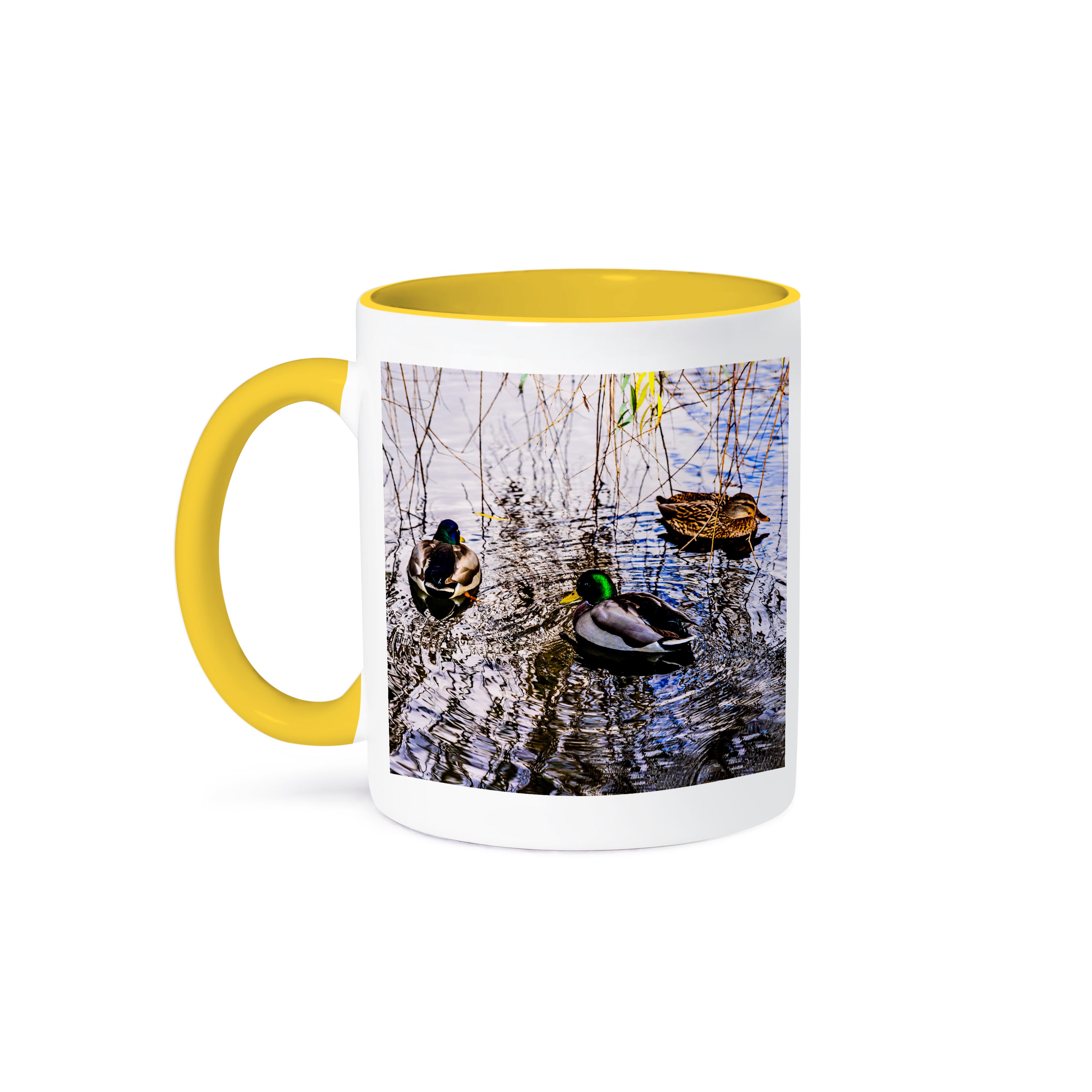 Three Mallard Ducks In A Water. Willow Twigs. Autumn Season, 15oz Two ...