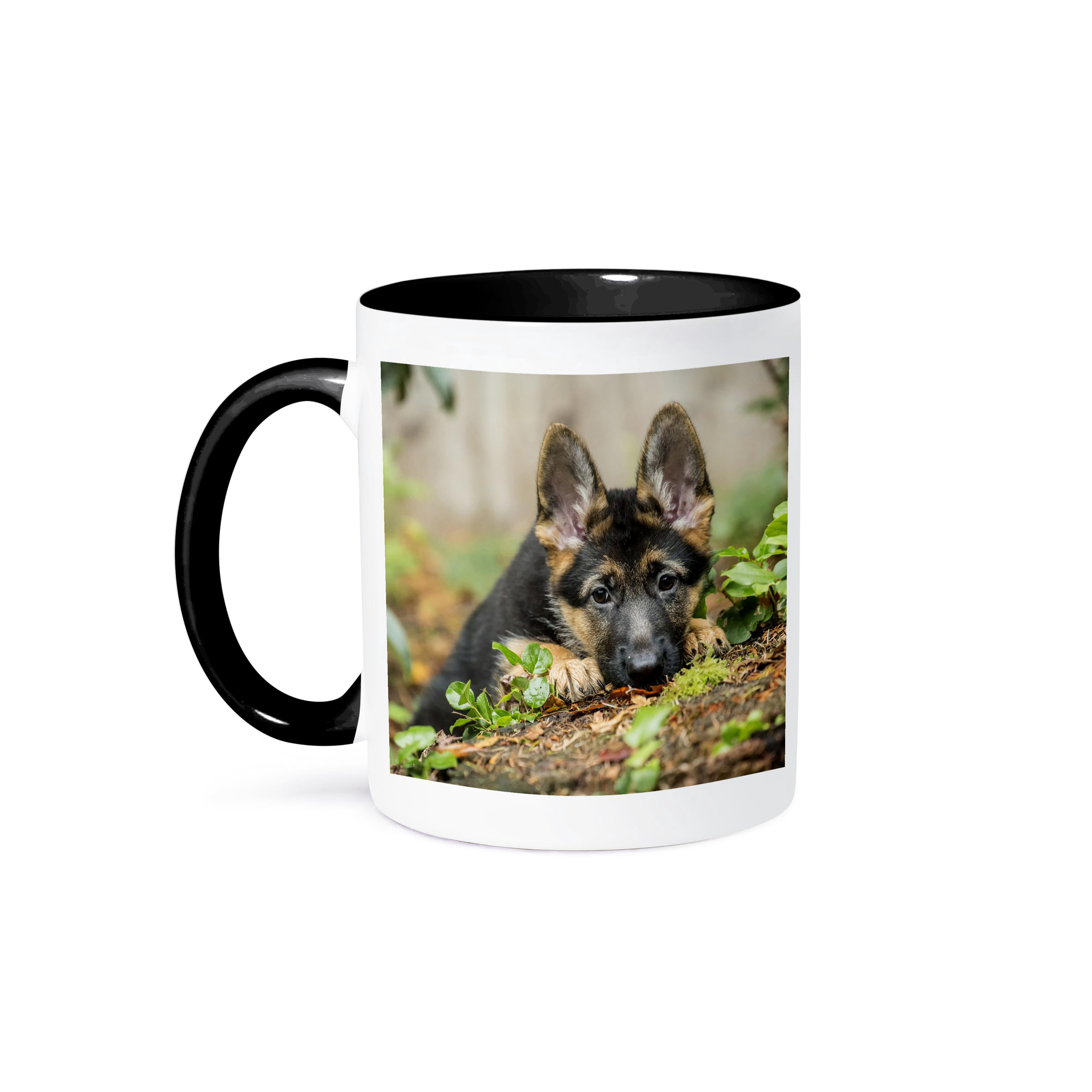 Three Month Old German Shepherd Acting Shy As She Peeks Over A Stump ...