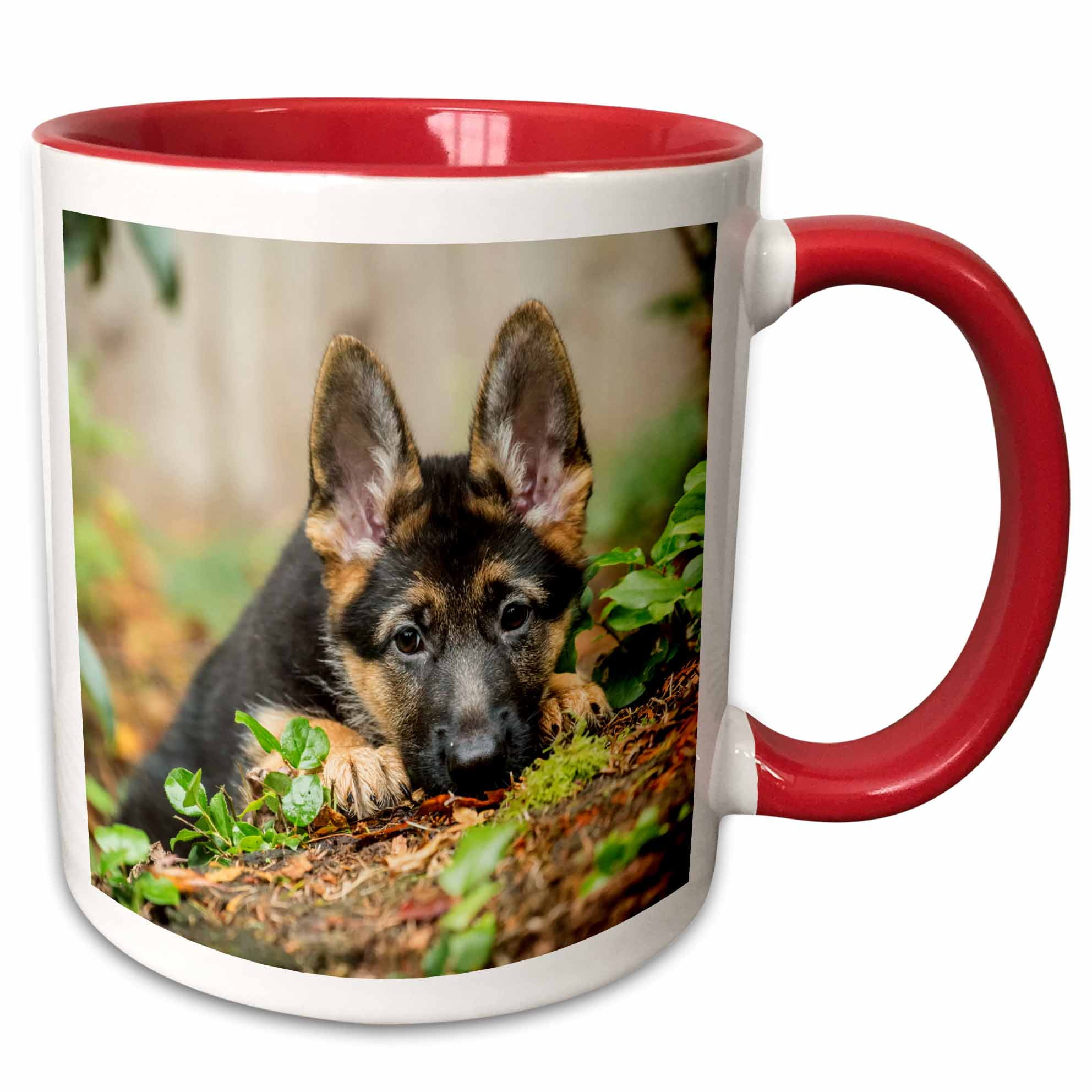 3drose, Three Month Old German Shepherd Acting Shy as She Peeks Over a ...
