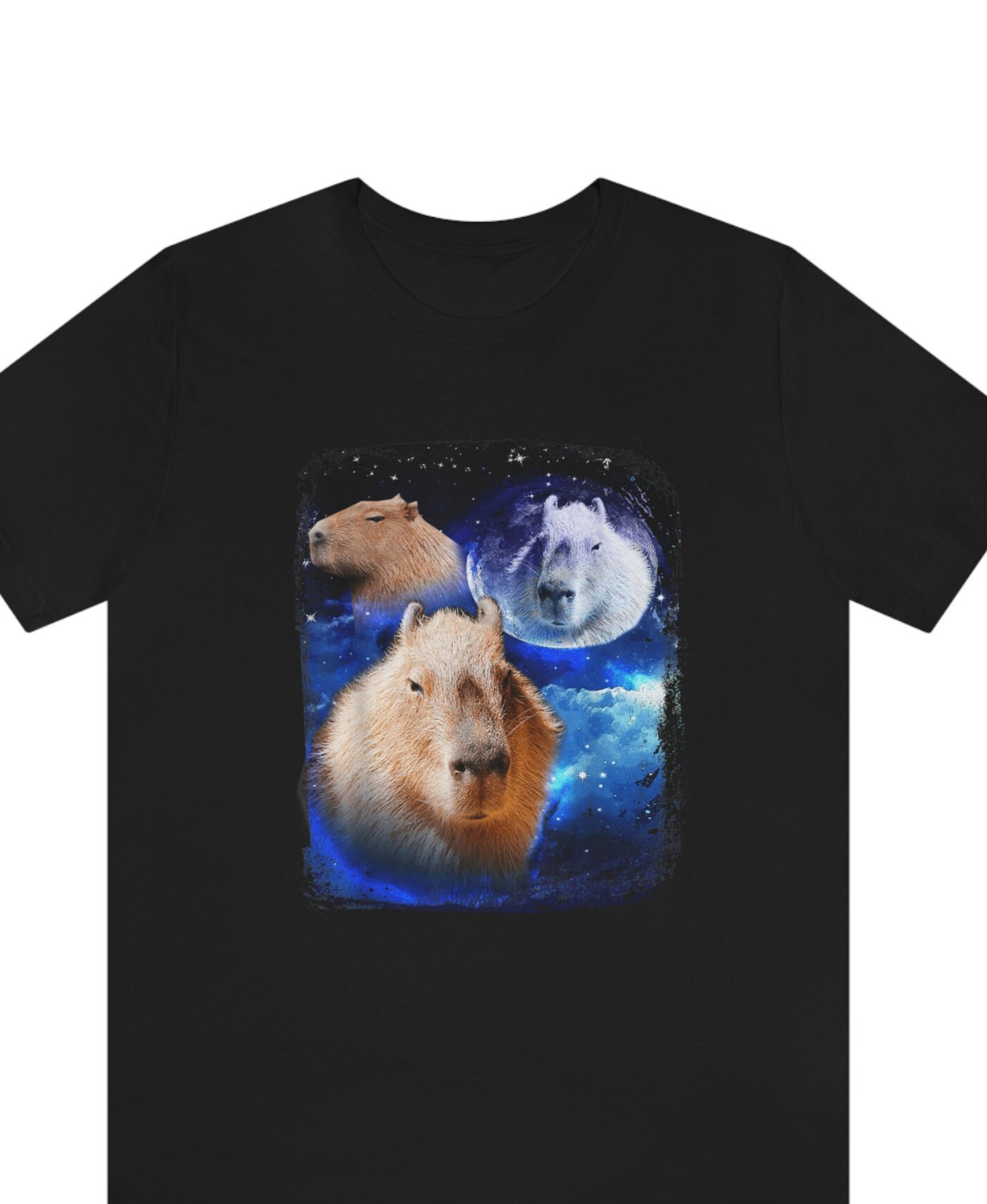 Three Moon Capybaras Shirt | capybara, capybara shirt, capybara t-shirt ...