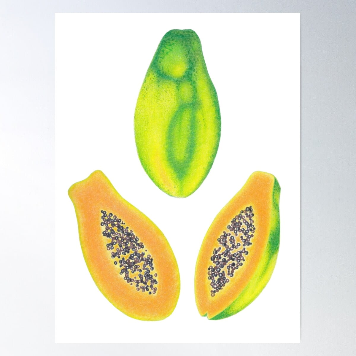 Three Papaya - Coloured Pencil Drawings Poster Wall Art, Modern Wall ...