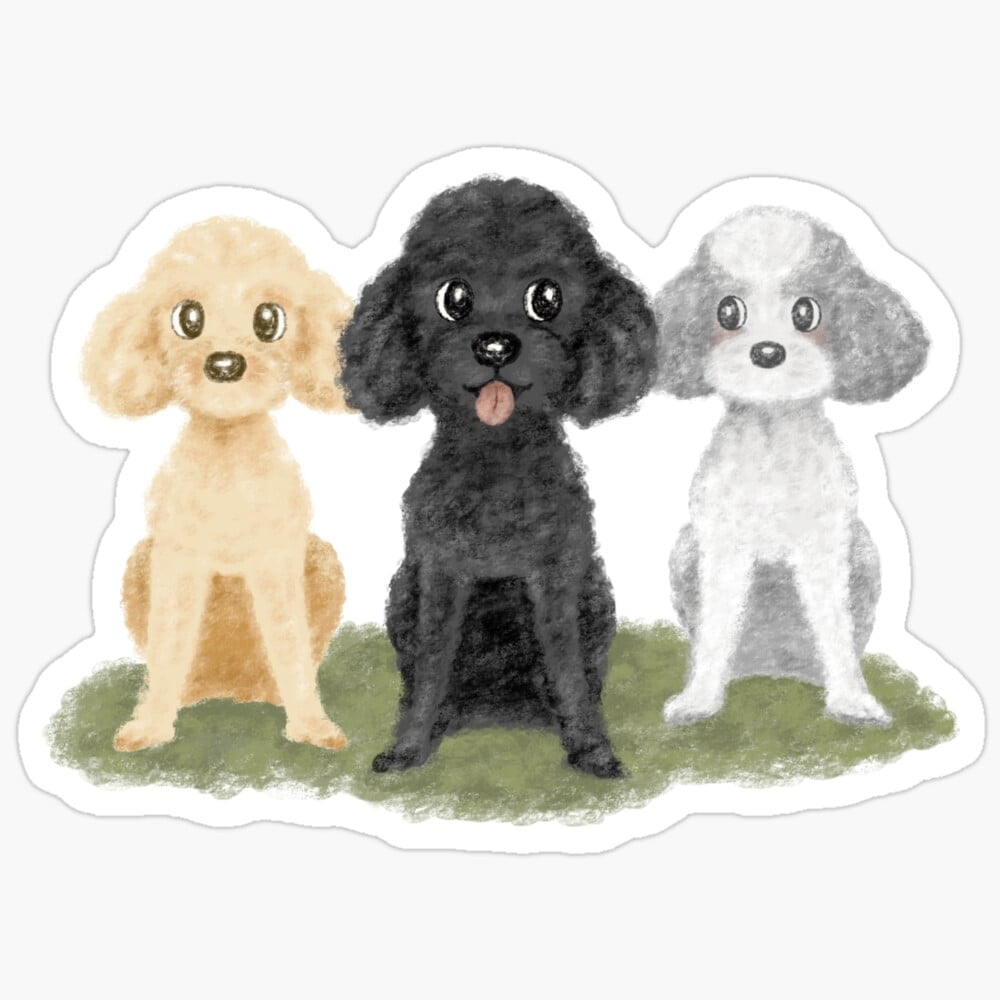Three Poodles Sticker Phone Decal Water Bottle Stickers Car Decals ...