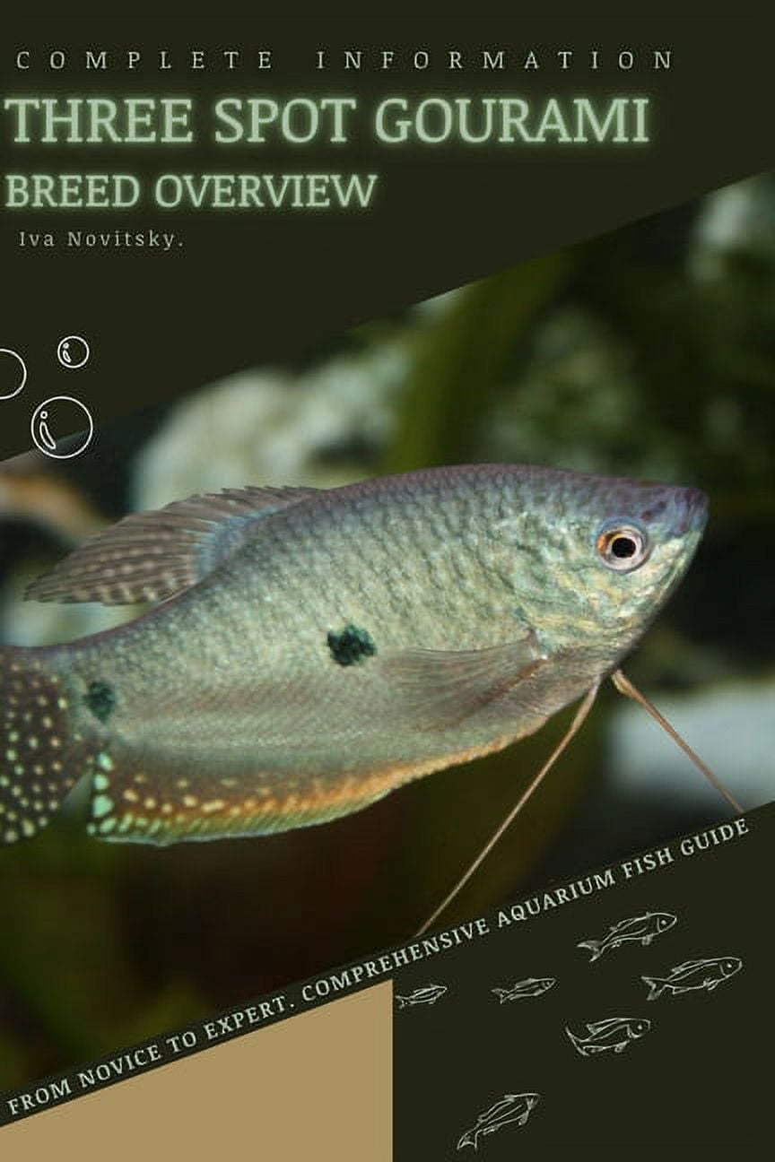 Three Spot Gourami: From Novice to Expert. Comprehensive Aquarium Fish ...