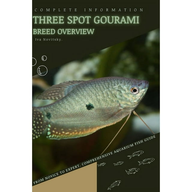 Three Spot Gourami: From Novice to Expert. Comprehensive Aquarium Fish ...